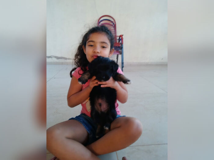 Vizinho Esquece Portão Aberto Spike Desaparece E Menina De Sete Anos
